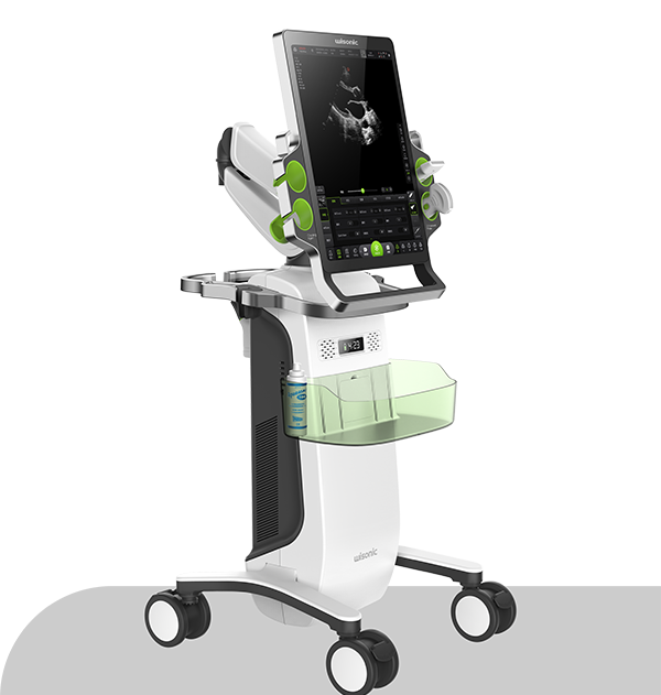 Carnation | Core Imaging